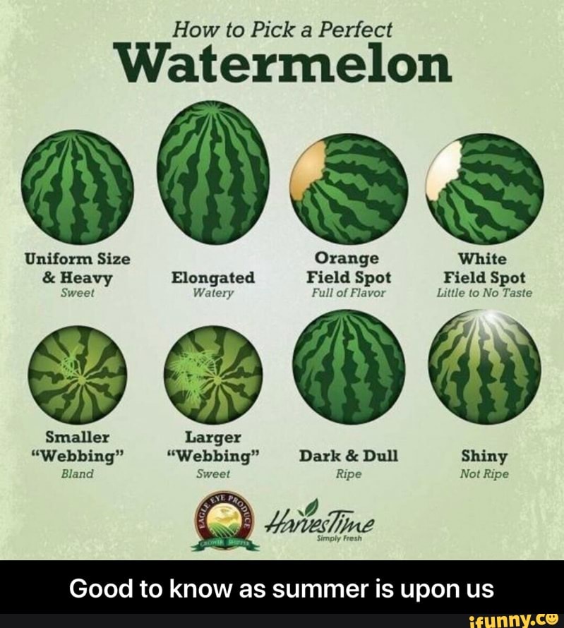 Watermelon bing at Patrick Sears blog
