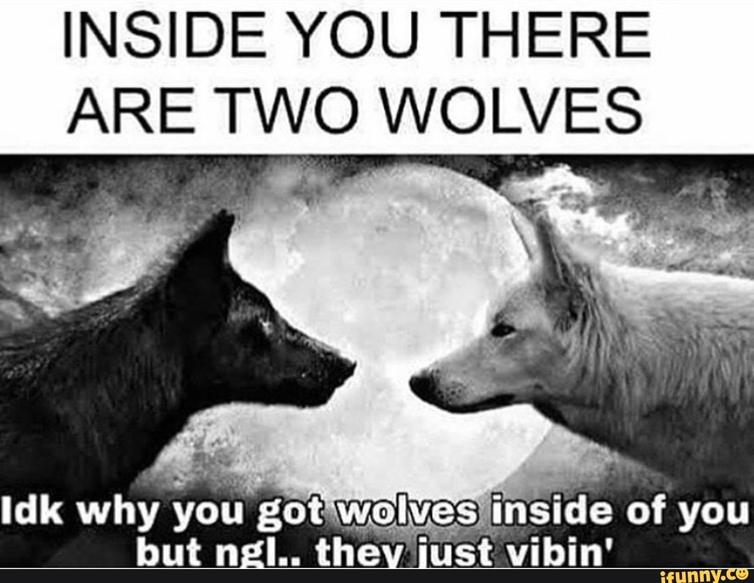 INSIDE YOU THERE ARE TWO WOLVES Idk why you got wolvesdjn'side. of you ...