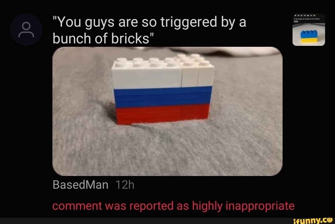 "You guys are so triggered by a bunch of bricks" BasedMan comment was ...