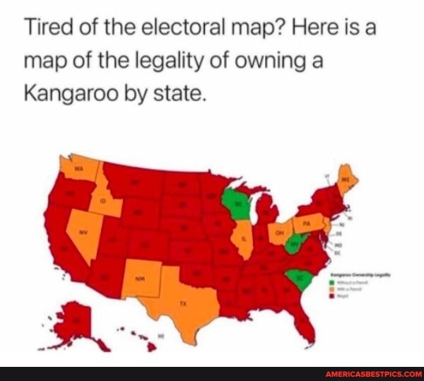 Tired of the electoral map? Here is a map of the legality of owning a ...