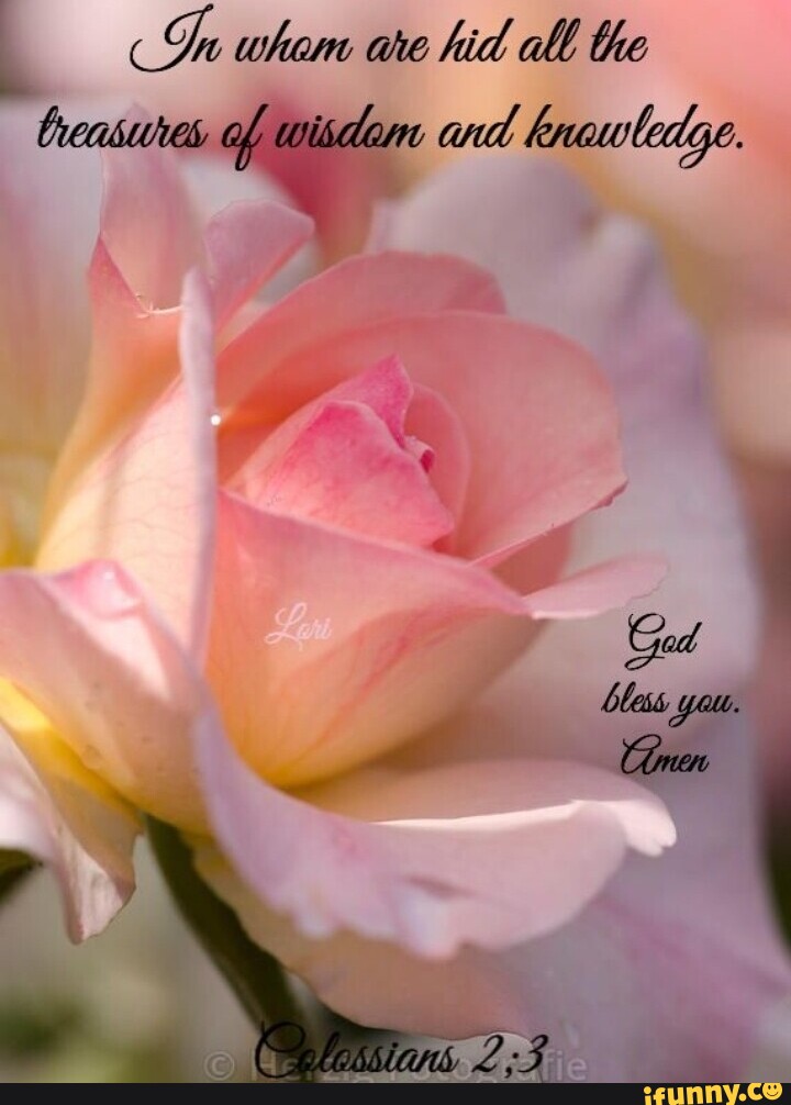 Knawledge memes. Best Collection of funny Knawledge pictures on iFunny