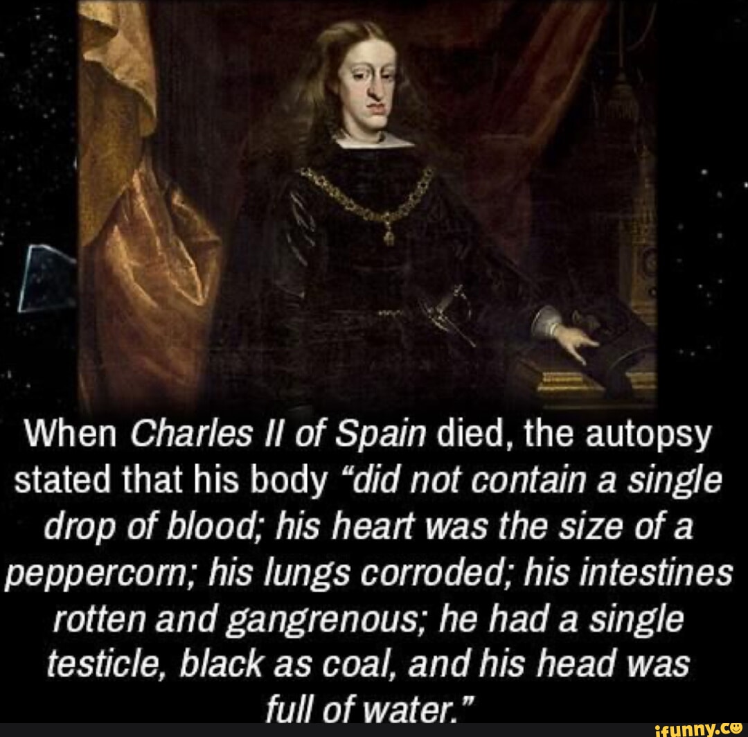 Testicle memes. Best Collection of funny Testicle pictures on iFunny