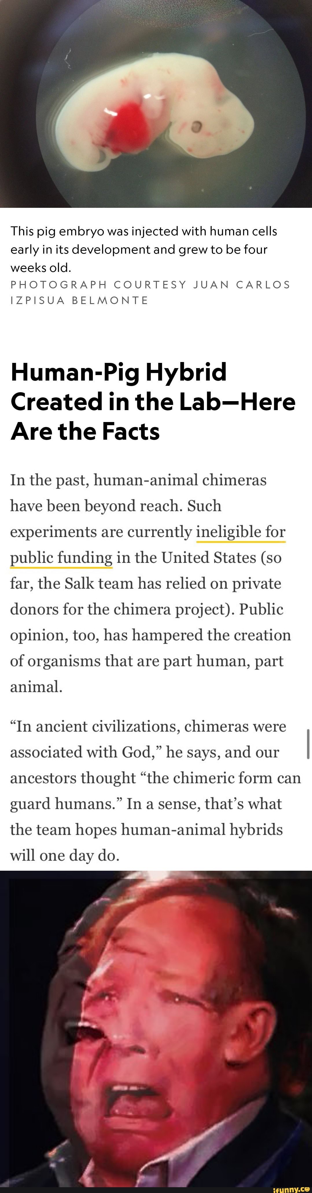 Belmonte memes. Best Collection of funny Belmonte pictures on iFunny