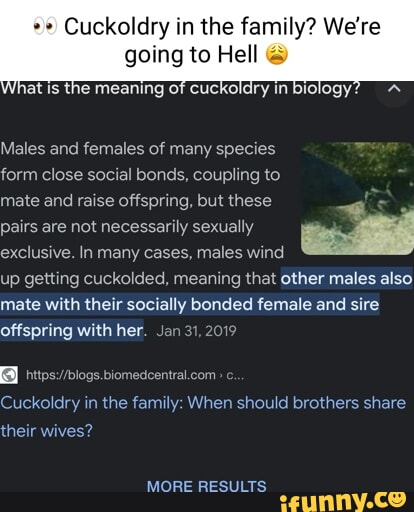 Coupling memes. Best Collection of funny Coupling pictures on iFunny