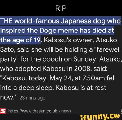 RIP THE world-famous Japanese dog who inspired the Doge meme has died ...
