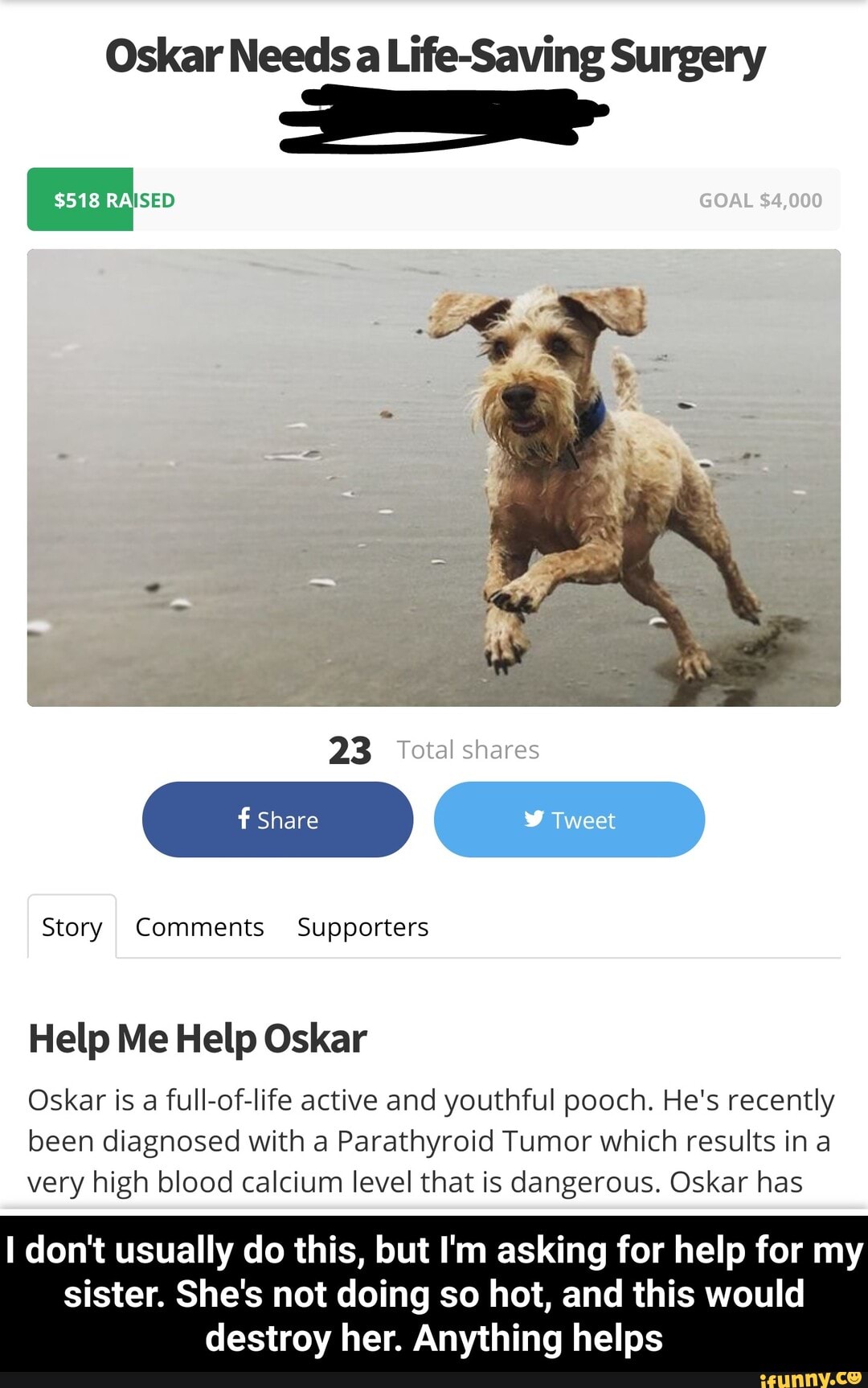 Parathyroid memes. Best Collection of funny Parathyroid pictures on iFunny