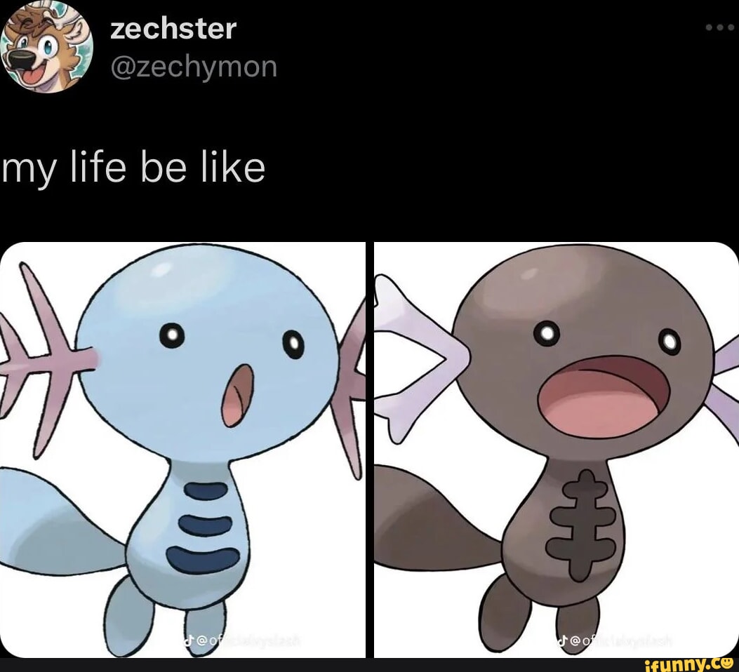 - K37696 Follow Windex isn't carbonated SS Follow anarcho-kaibaism The ...