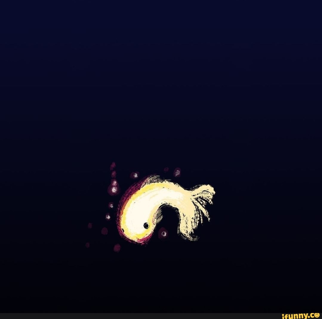 Qinniart memes. Best Collection of funny Qinniart pictures on iFunny