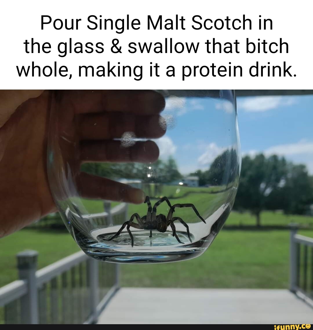 Pour Single Malt Scotch in the glass & swallow that bitch whole, making ...