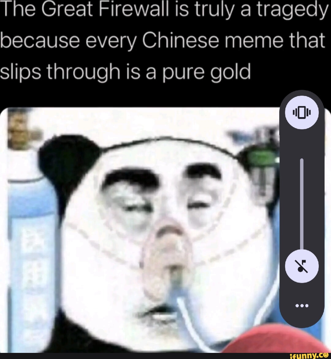 Fine China Meme at Harrison Greenwood blog