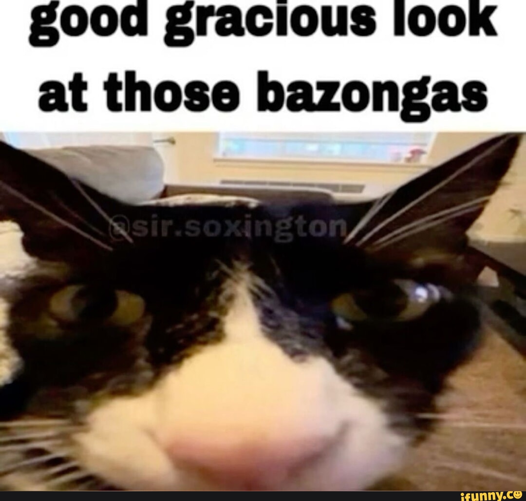 Bazongas memes. Best Collection of funny Bazongas pictures on iFunny