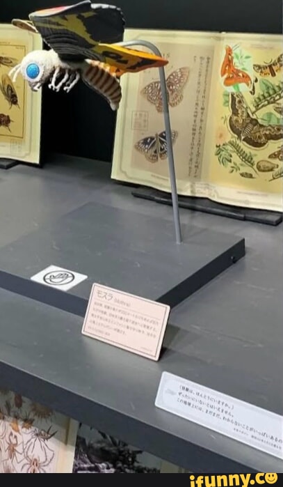 Mothra memes. Best Collection of funny Mothra pictures on iFunny