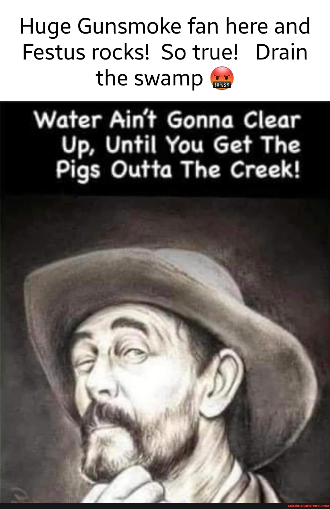Huge Gunsmoke fan here and Festus rocks! So true! Drain the swamp ...