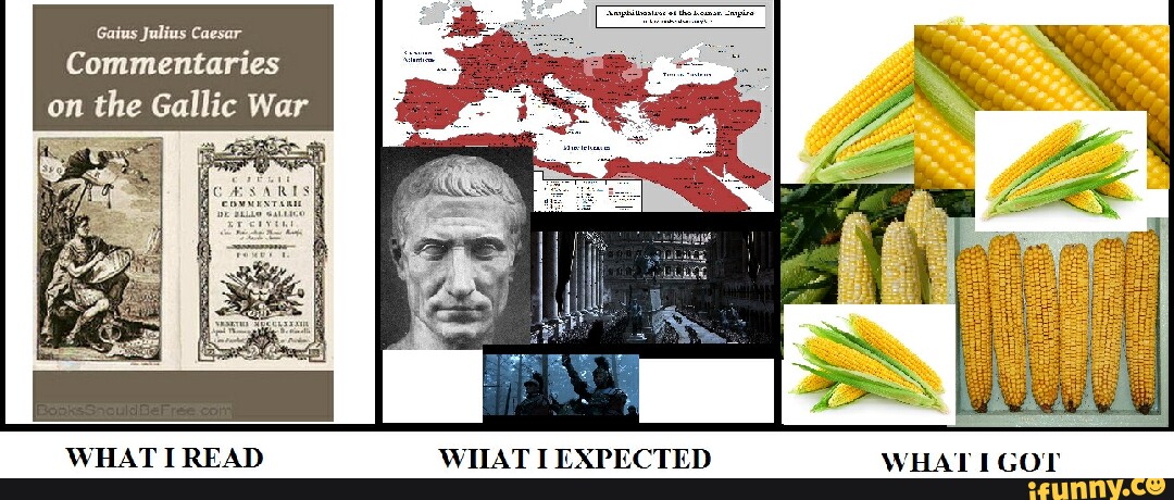 Gaius memes. Best Collection of funny Gaius pictures on iFunny