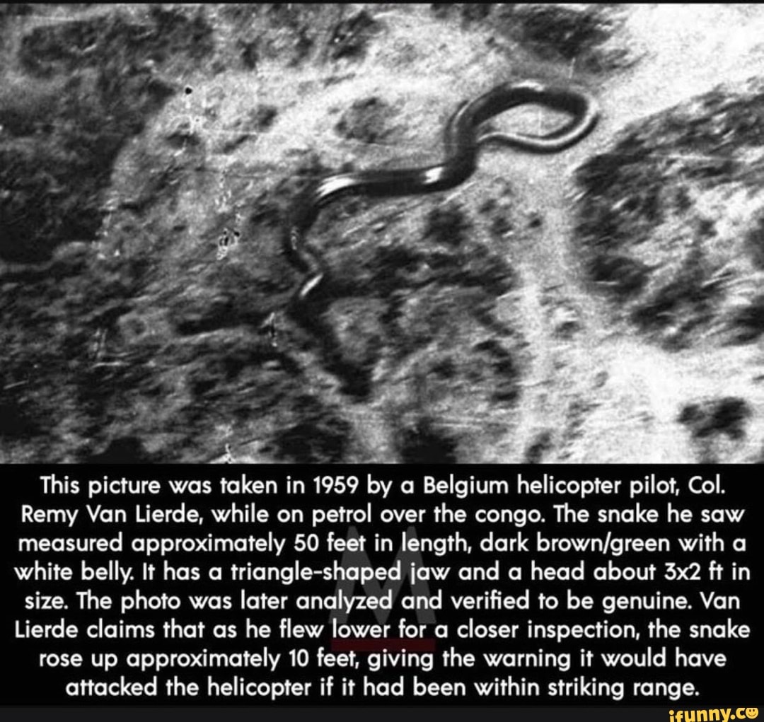 This picture was taken in 1959 by a Belgium helicopter pilot, Col. Remy ...