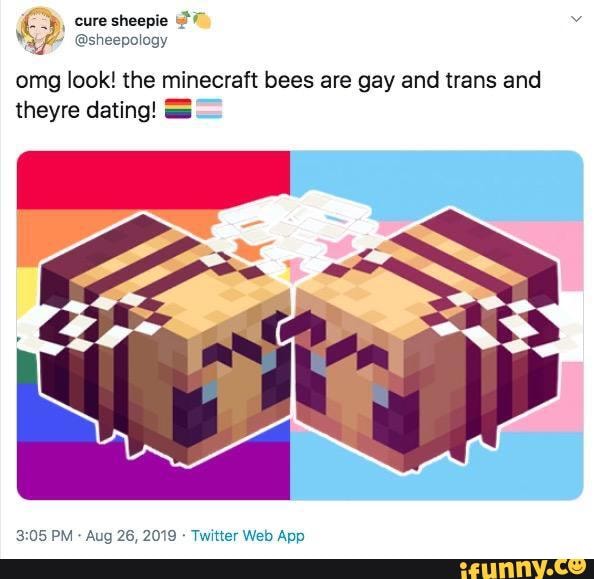 Omg look! the minecraft bees are gay and trans and theyre dating! Ann ...