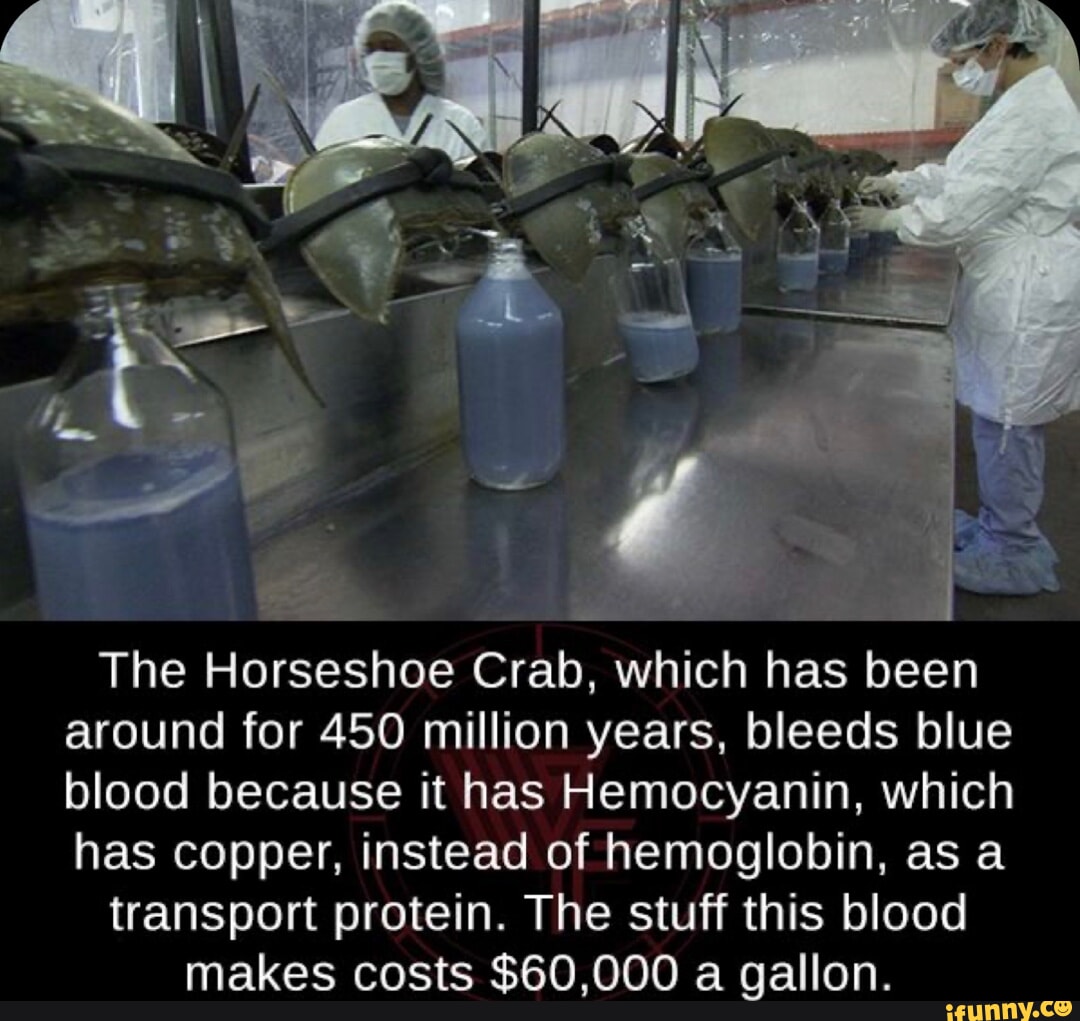 Hemoglobin memes. Best Collection of funny Hemoglobin pictures on iFunny