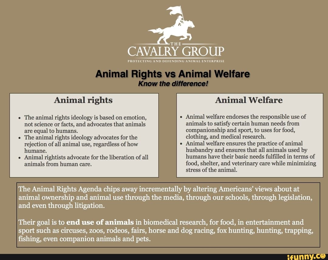 CAVALRY GROUP Animal Rights vs Animal Weltiare the PROTECTING AND ...