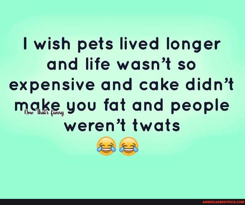 Wish pets lived longer and life wasn't so expensive and cake didn't ...