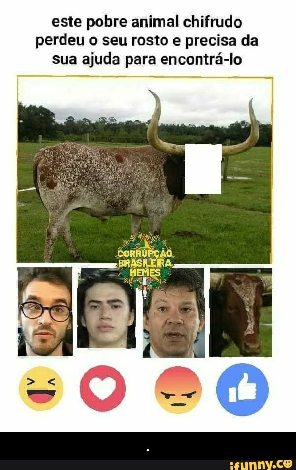 Este pobre animal chifrudo perdeu o seu rosto e precisa da sua ajuda ...