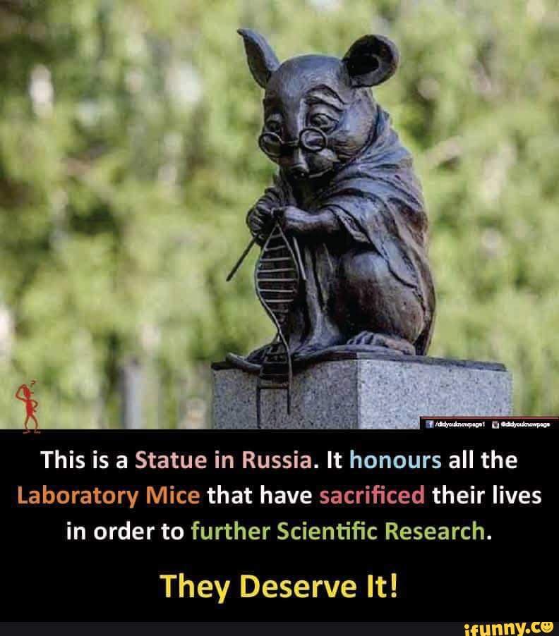 This is a Statue in Russia. It honours all the Laboratory Mice that ...