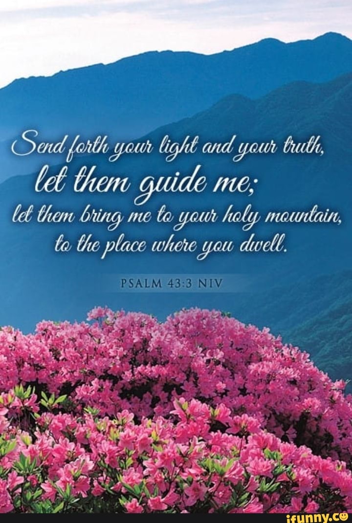 Sad, forth You light and your bulh, le than guide Ne; lee than bring me ...