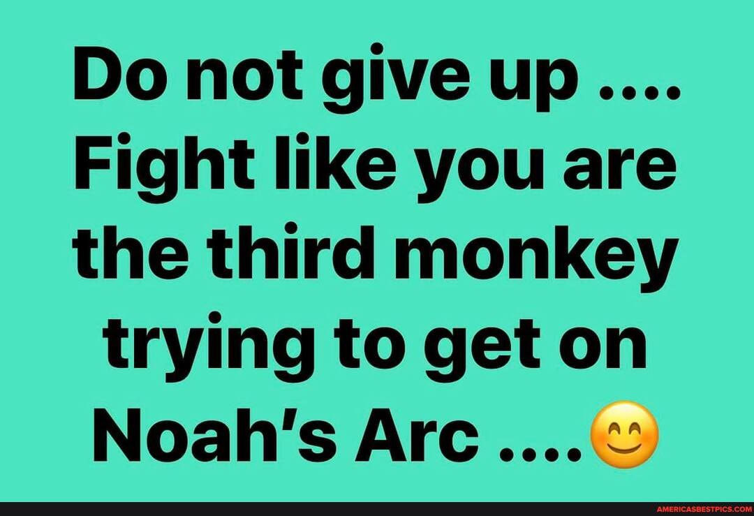 Do not give up Fight like you are the third monkey trying to get on ...