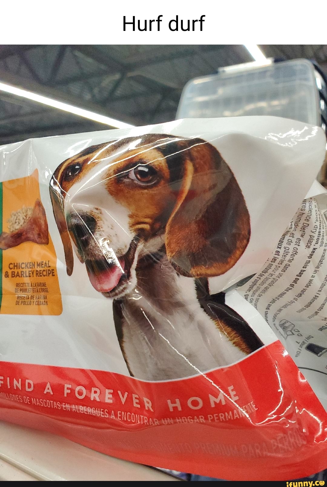 Ifunnyisretarded memes. Best Collection of funny Ifunnyisretarded ...