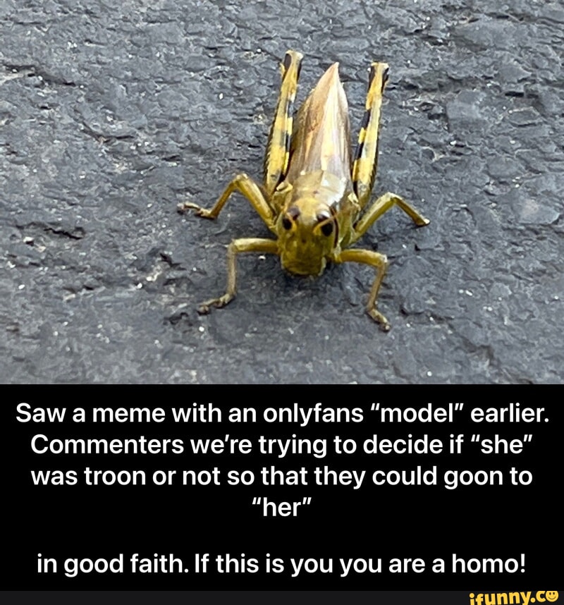 Saw a meme with an onlyfans "model" earlier. Commenters we're trying to ...
