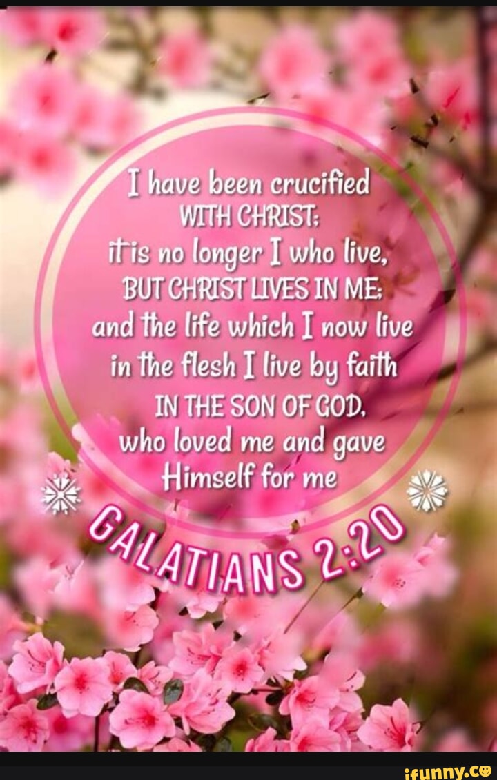 Crucified memes. Best Collection of funny Crucified pictures on iFunny