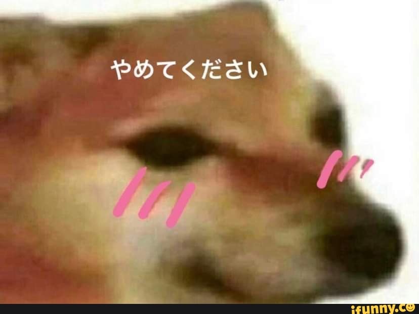 Yamete memes. Best Collection of funny Yamete pictures on iFunny