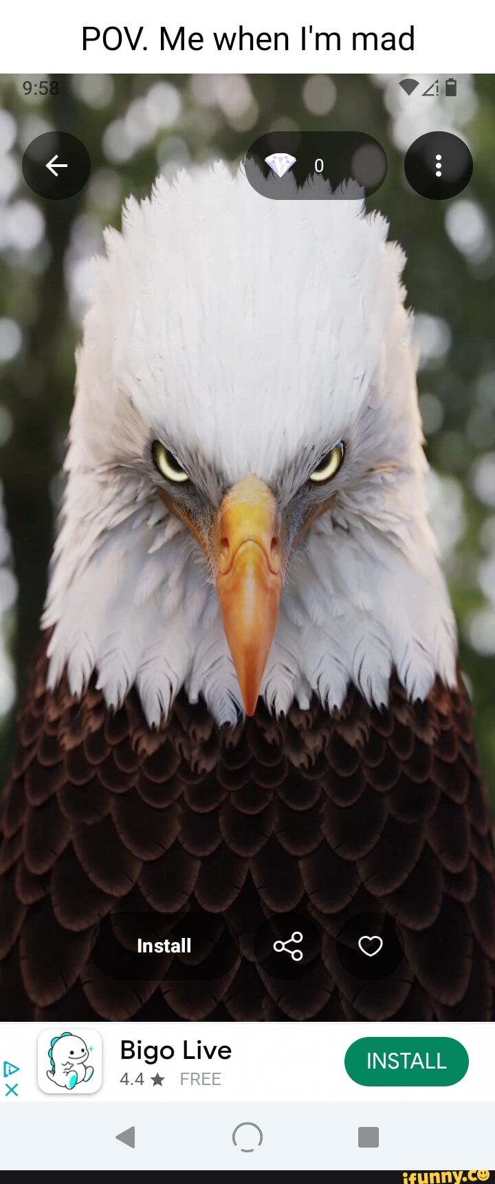 Bigo memes. Best Collection of funny Bigo pictures on iFunny