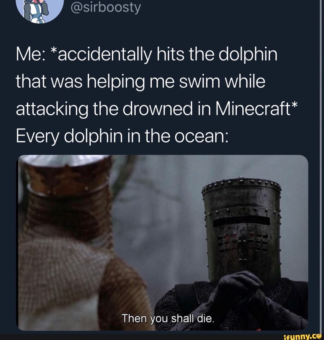 Me: *accidentally hits the dolphin that was helping me swim while ...