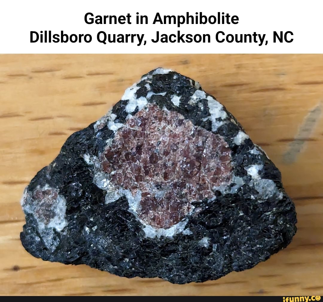 Garnet memes. Best Collection of funny Garnet pictures on iFunny