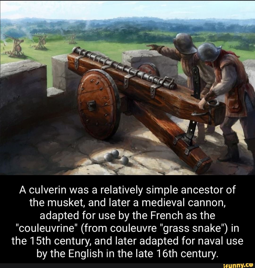 Culverin memes. Best Collection of funny Culverin pictures on iFunny