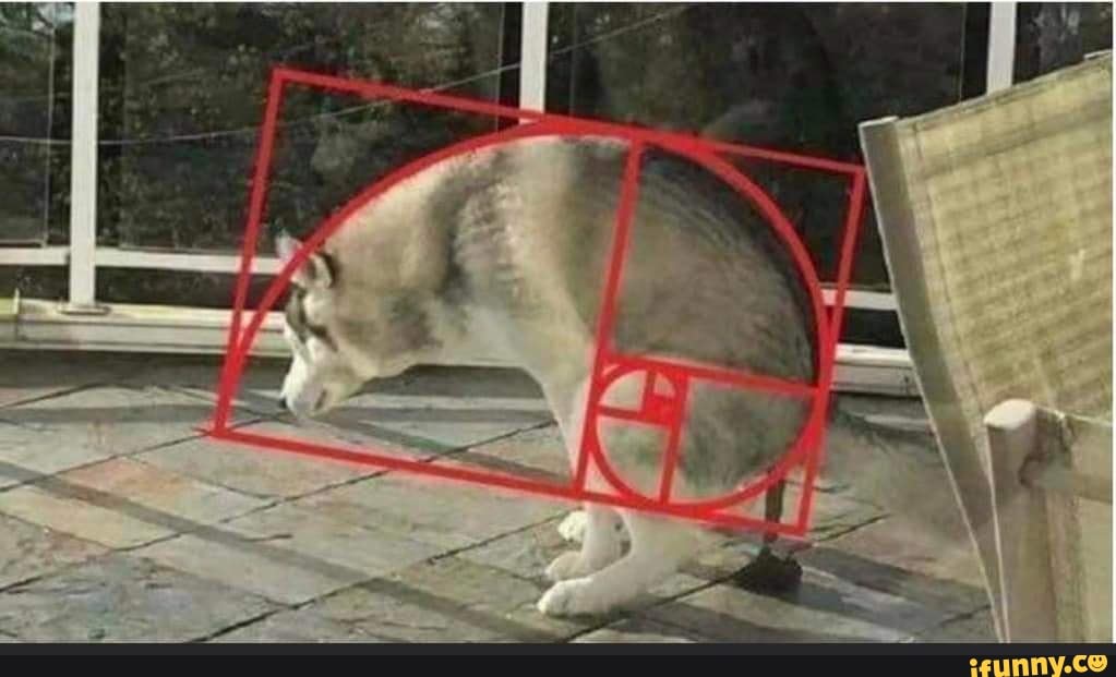 Fibonacci_spiral memes. Best Collection of funny Fibonacci_spiral ...