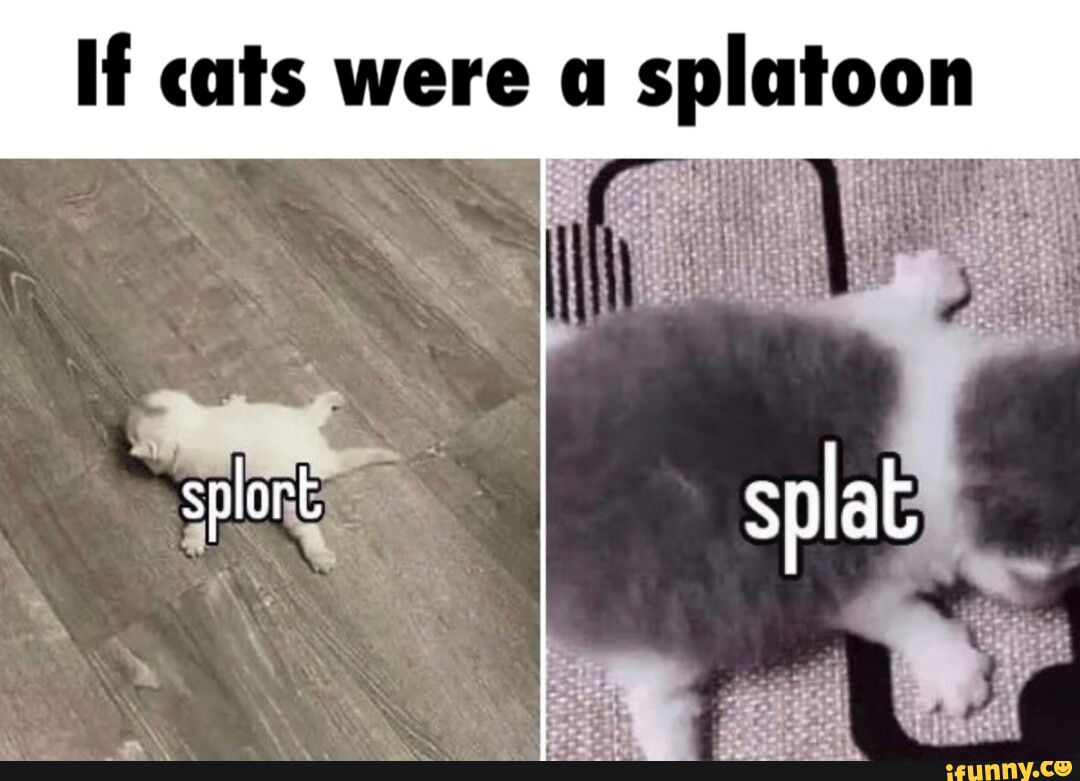If cats were a splatoon splat - iFunny