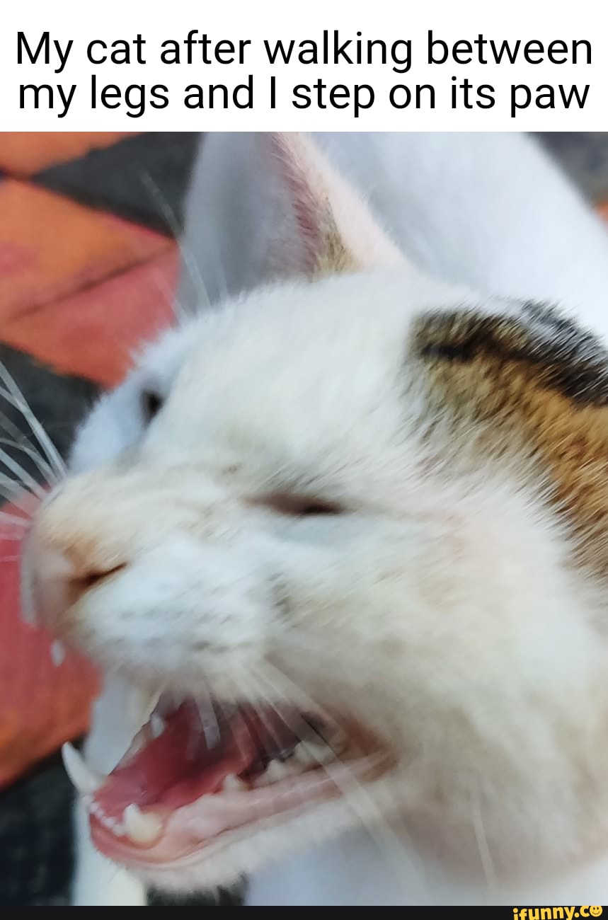 Human body memes memes. The best memes on iFunny