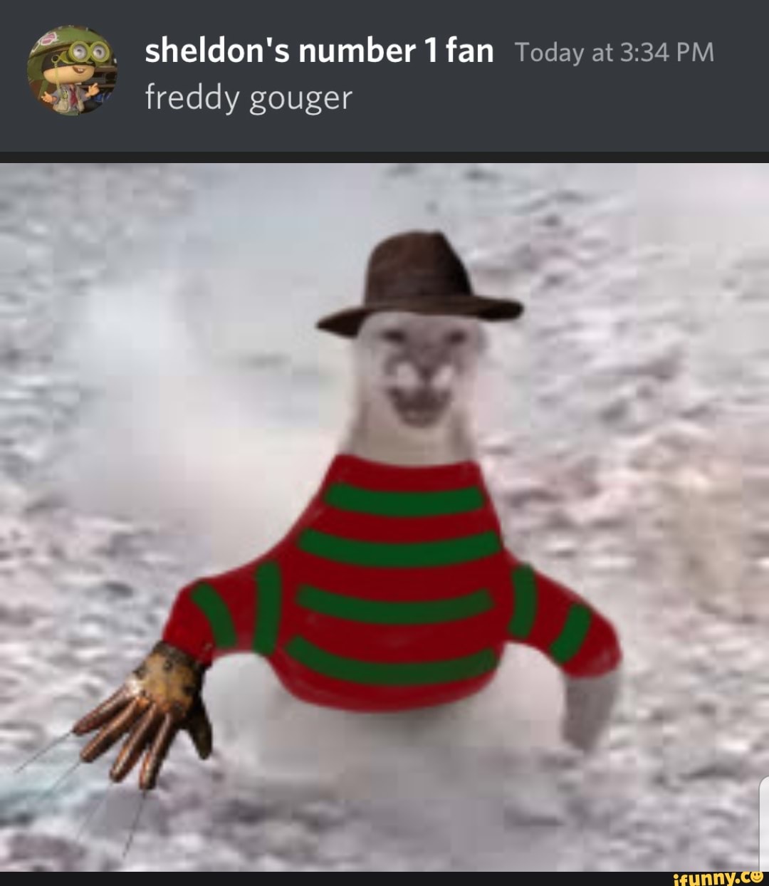 Gouger memes. Best Collection of funny Gouger pictures on iFunny