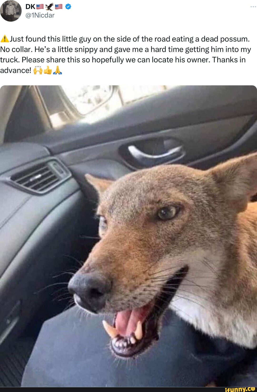 Snippy memes. Best Collection of funny Snippy pictures on iFunny