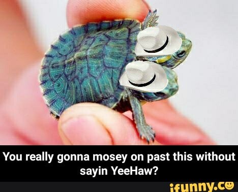 Twoheads memes. Best Collection of funny Twoheads pictures on iFunny