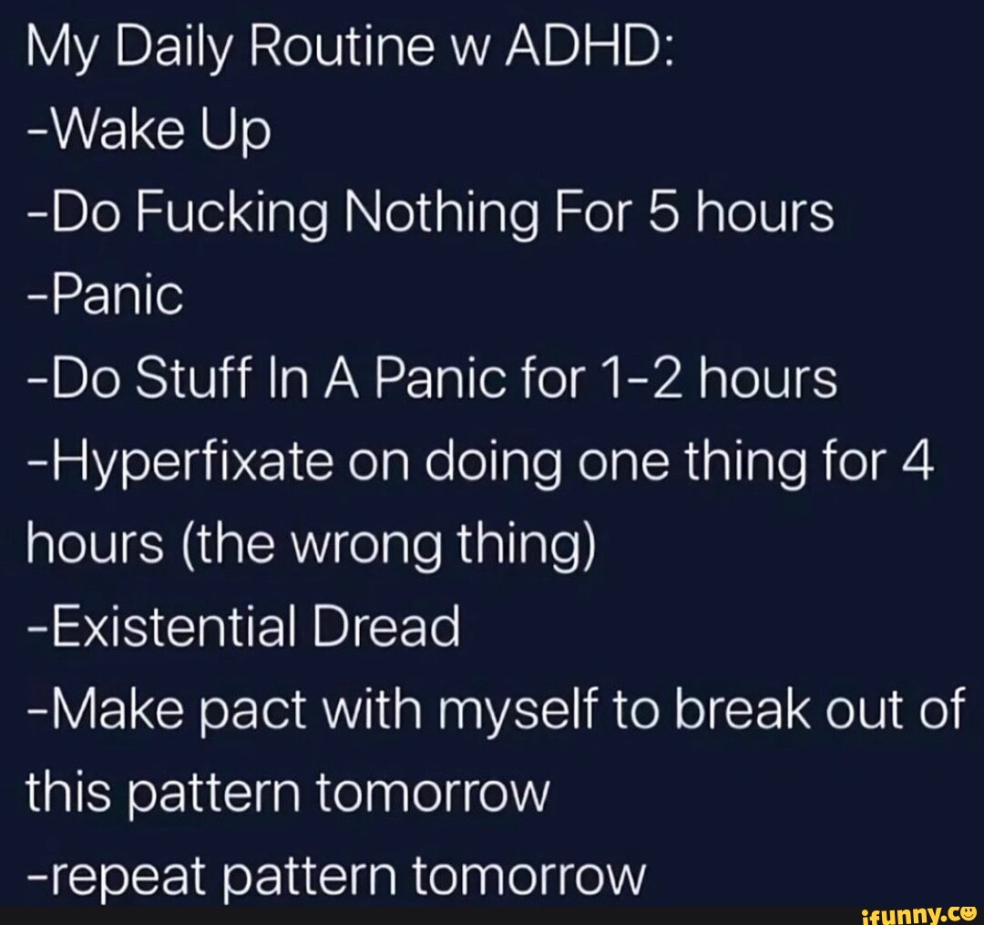 Hyperfixate memes. Best Collection of funny Hyperfixate pictures on iFunny