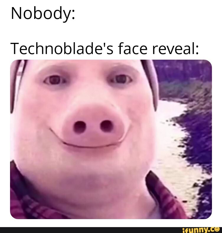 Nobody: Technoblade's face reveal: FAR - iFunny