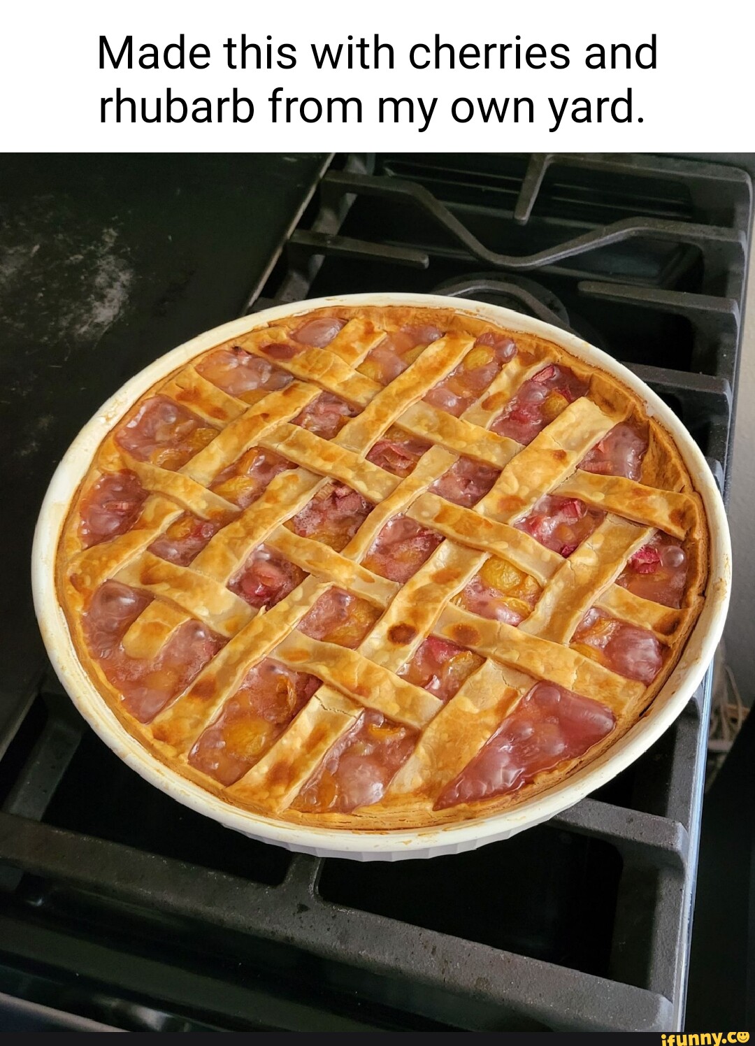 Rhubarb memes. Best Collection of funny Rhubarb pictures on iFunny