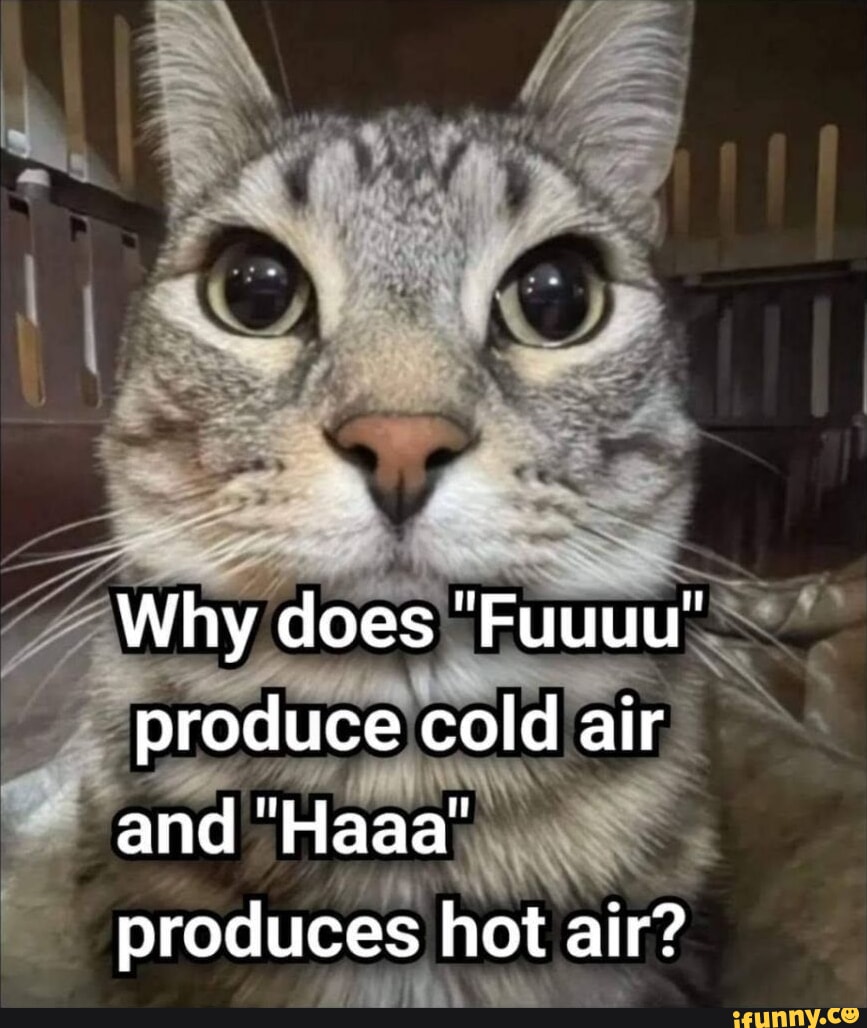SS Why does "Fuuuu" produce cold air and "Haaa" produces hot air? - iFunny
