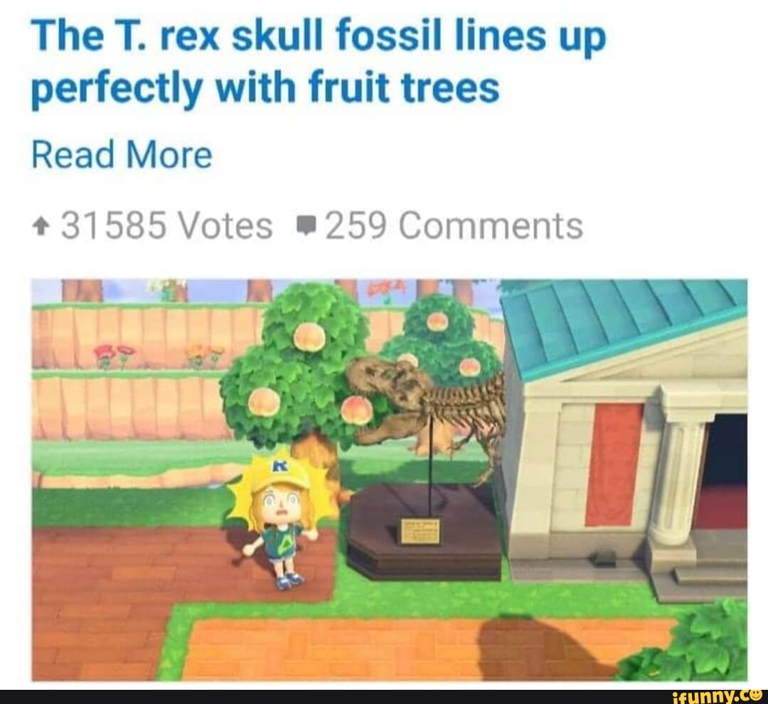 The T. rex skull fossil lines up perfectly with fruit trees Read More ...