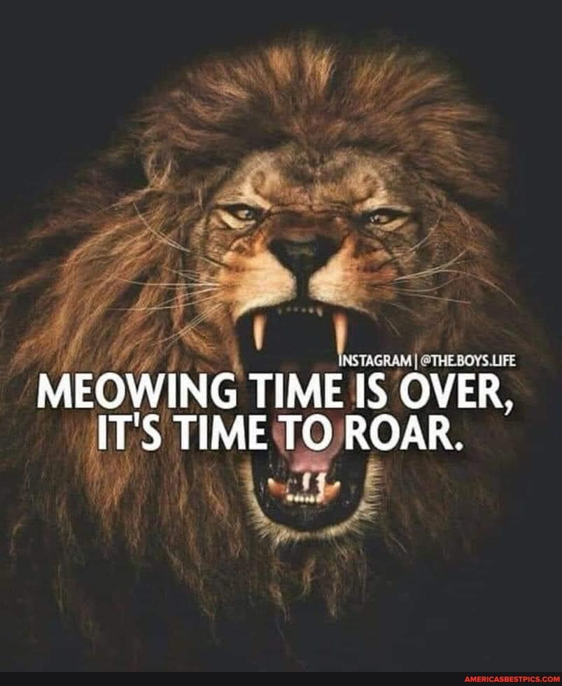 MEOWING TIME IS OVER, IT'S TIME TO ROAR. - America’s best pics and videos