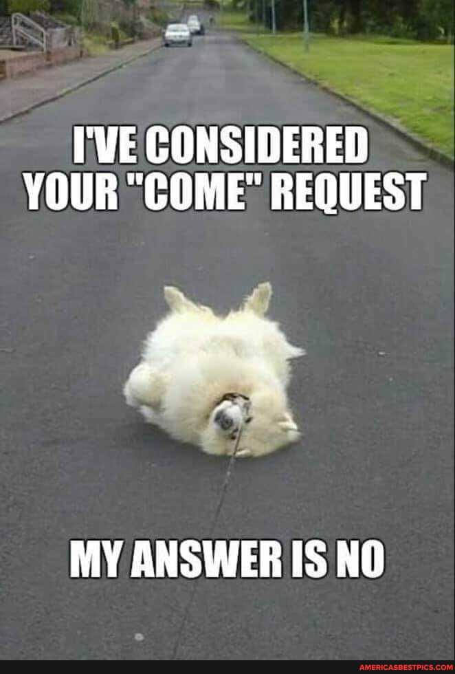 IWE CONSIDERED YOUR "COME" REQUEST MY ANSWER IS NO - America’s best ...