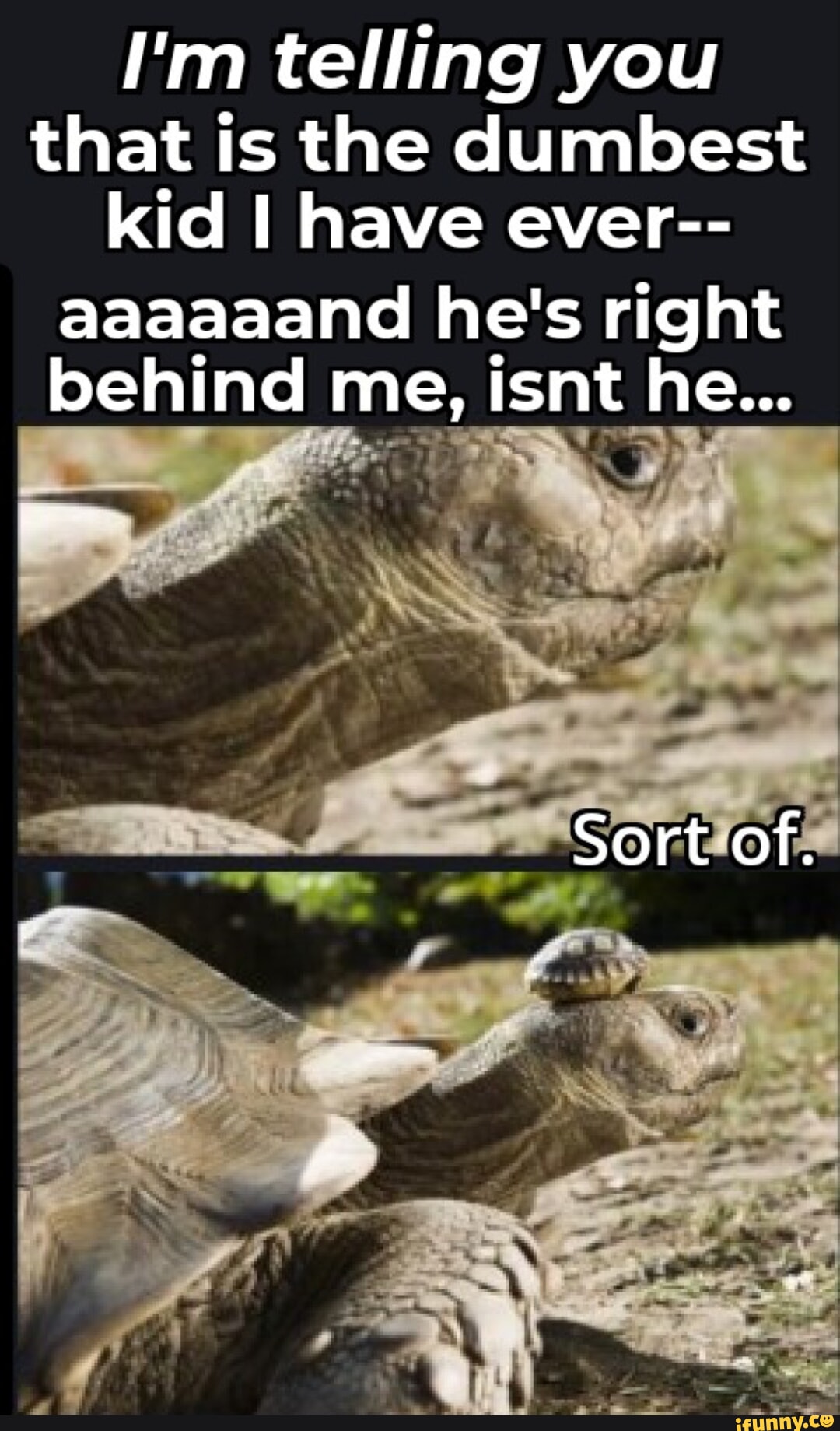 Dumbest memes. Best Collection of funny Dumbest pictures on iFunny