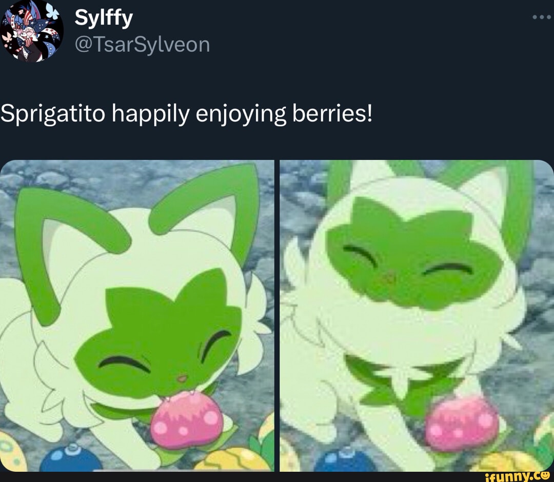 Sprigatito memes. Best Collection of funny Sprigatito pictures on iFunny